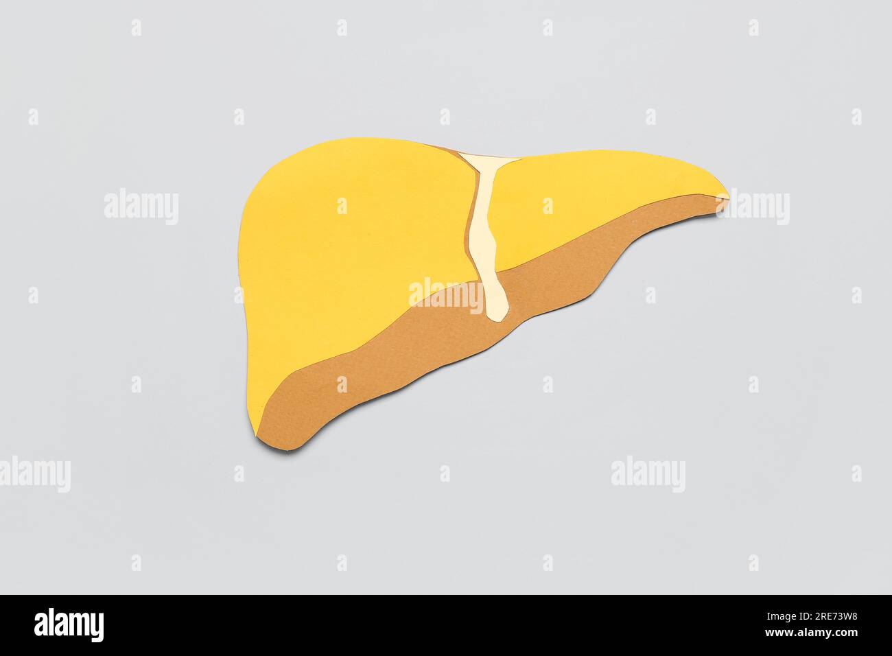 Yellow paper liver on grey background Stock Photo - Alamy