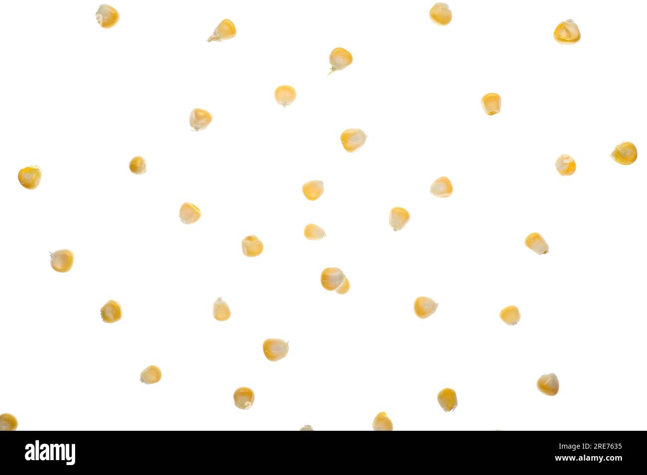 Flying corn kernels isolated on white background Stock Photo - Alamy