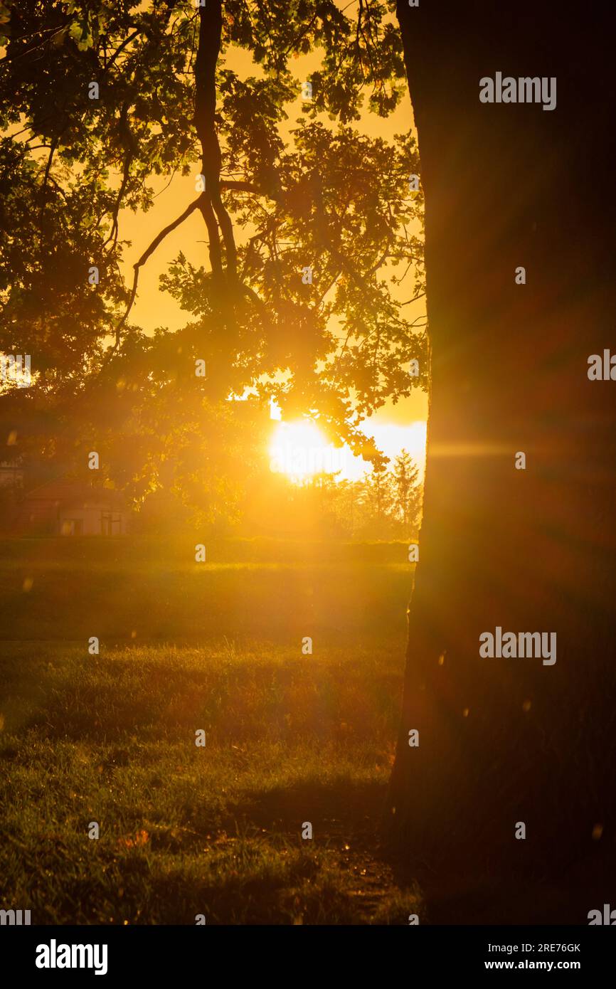 Heavy rain and sunbeam next to tree. Stunning views of the city rainy ...
