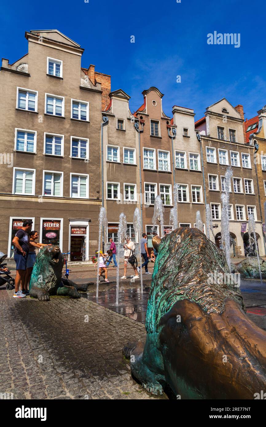 Grobla street hi-res stock photography and images - Alamy