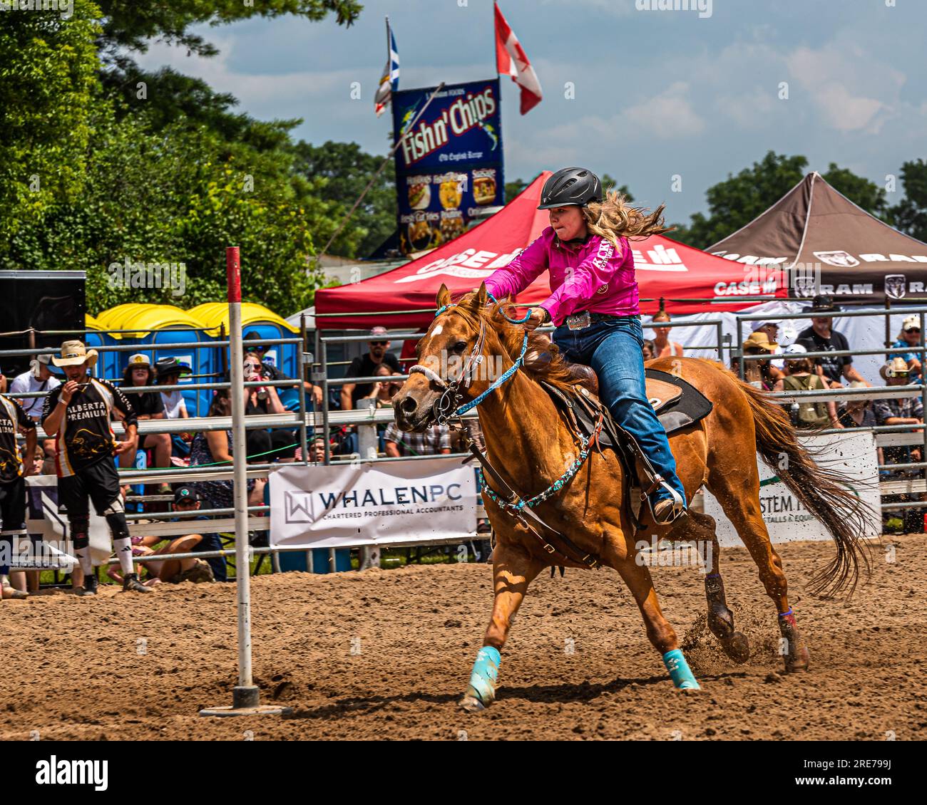 Ram rodeo alberta hi-res stock photography and images - Alamy