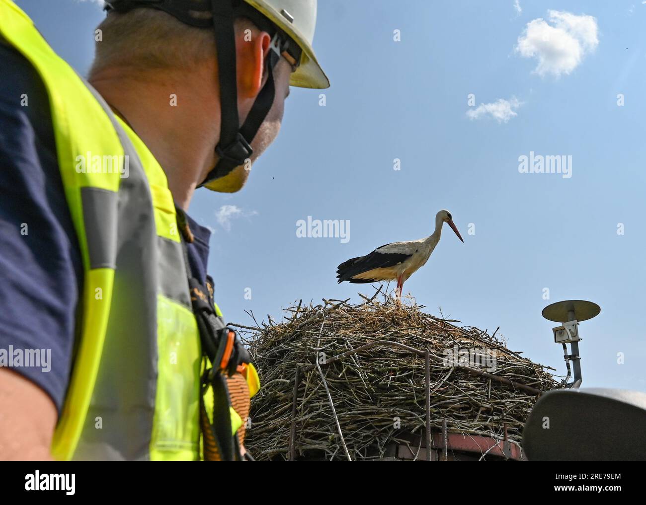 Animal migration routes hi-res stock photography and images - Alamy