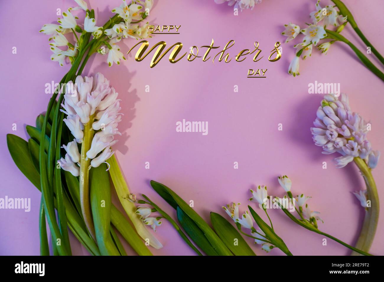 Card, banner, congratulations on Mothers Day , snowdrop flowers and ...