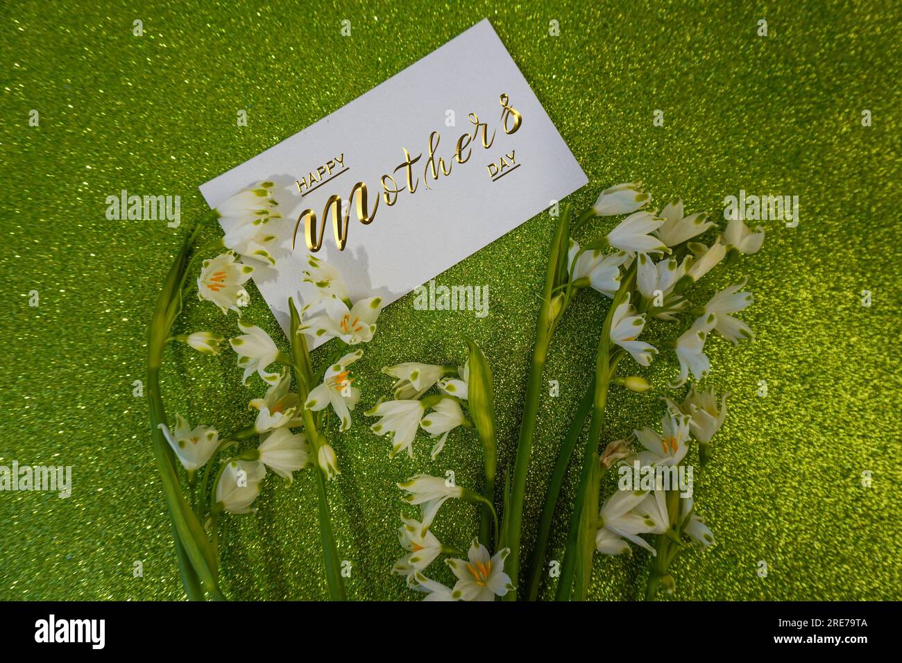 Card, banner, congratulations on Mothers Day , snowdrop flowers Stock ...