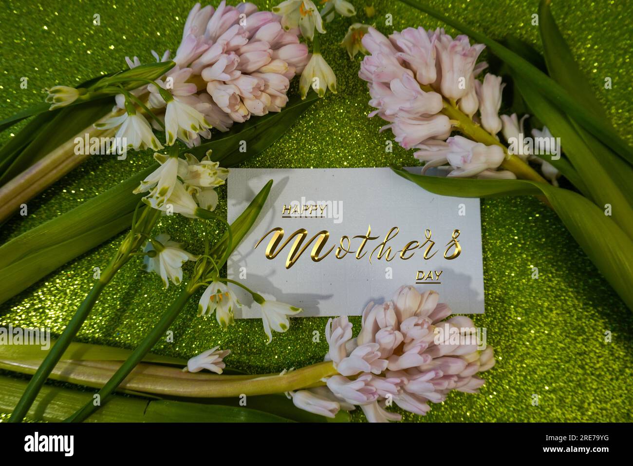 Card, banner, congratulations on Mothers Day , snowdrop flowers and ...