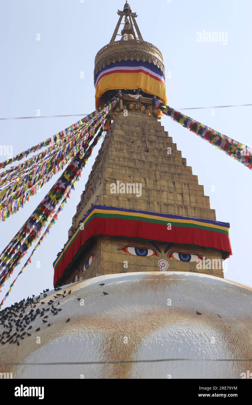 A religious shrine in Kathmandu, Stupa with colorful prayer flags in ...