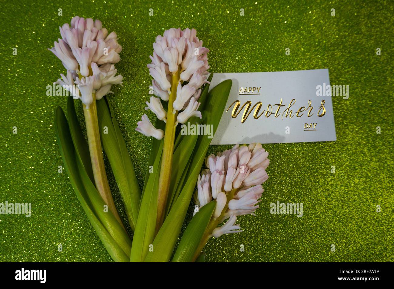 Card, banner, congratulations on Mothers Day , flowers hyacinths Stock ...