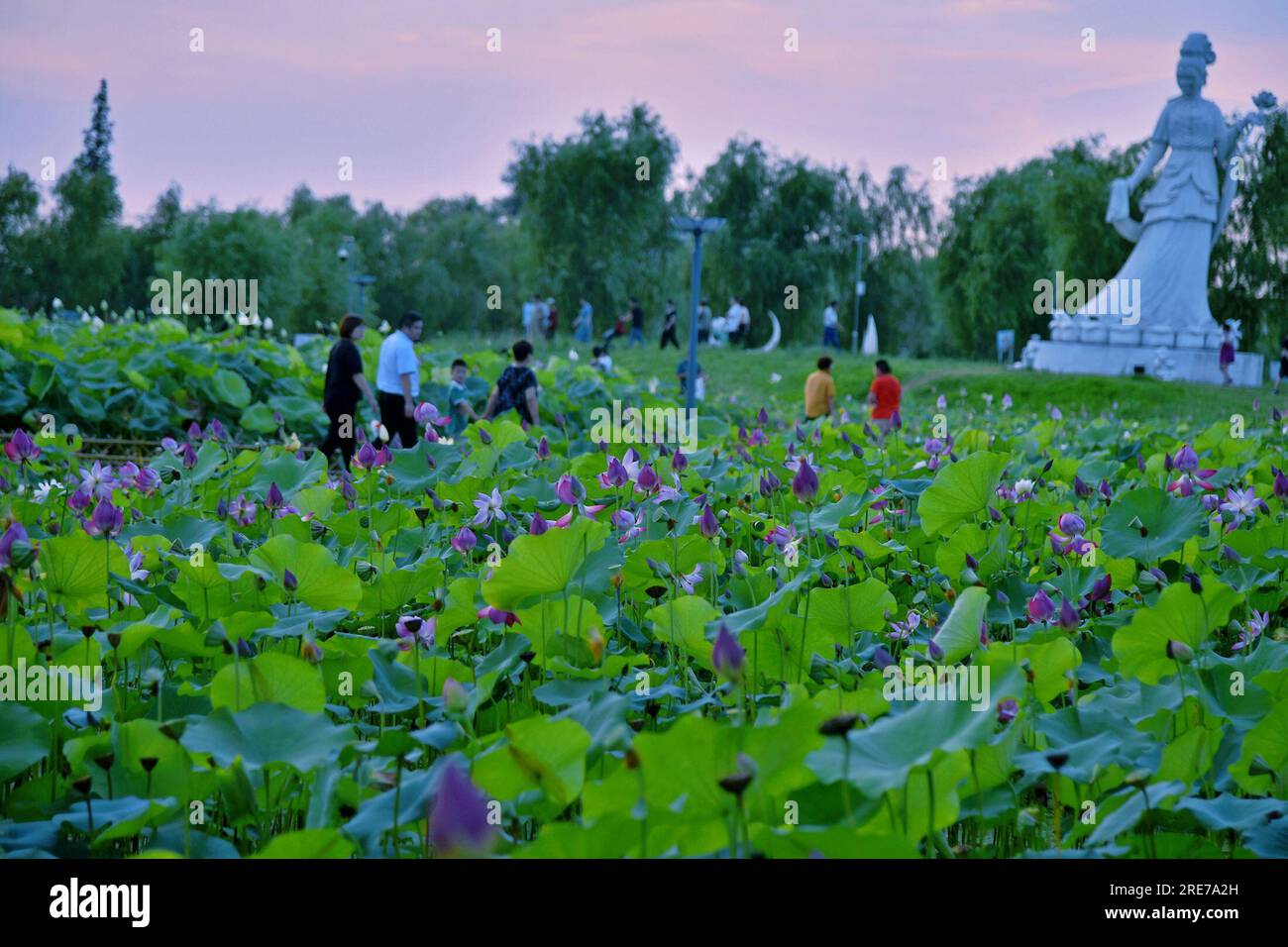 Rugao, China. 26th July, 2023. RUGAO, CHINA - JULY 25, 2023 - Tourists ...