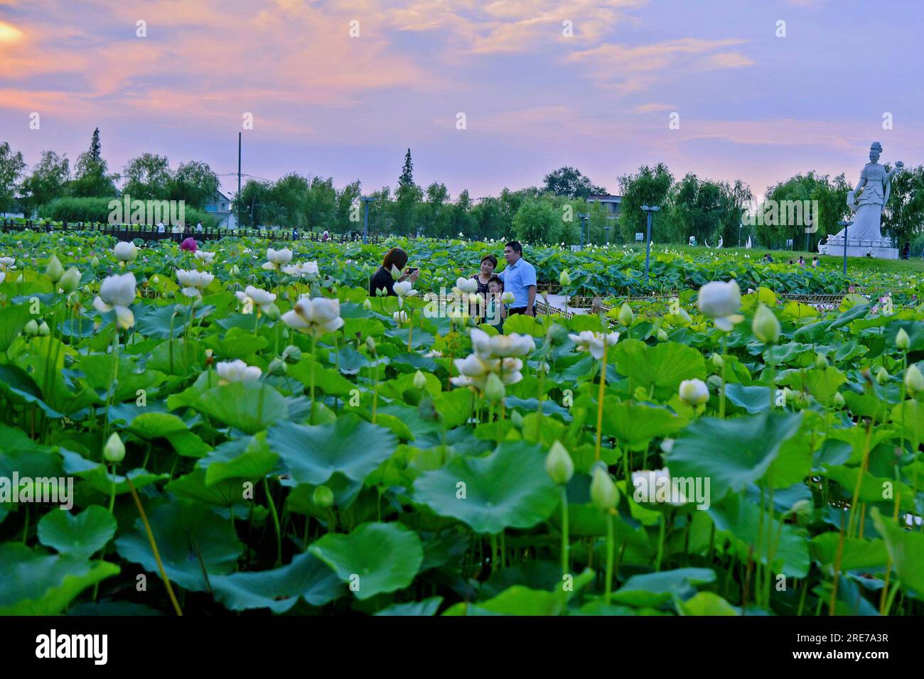 Rugao, China. 26th July, 2023. RUGAO, CHINA - JULY 25, 2023 - Tourists ...