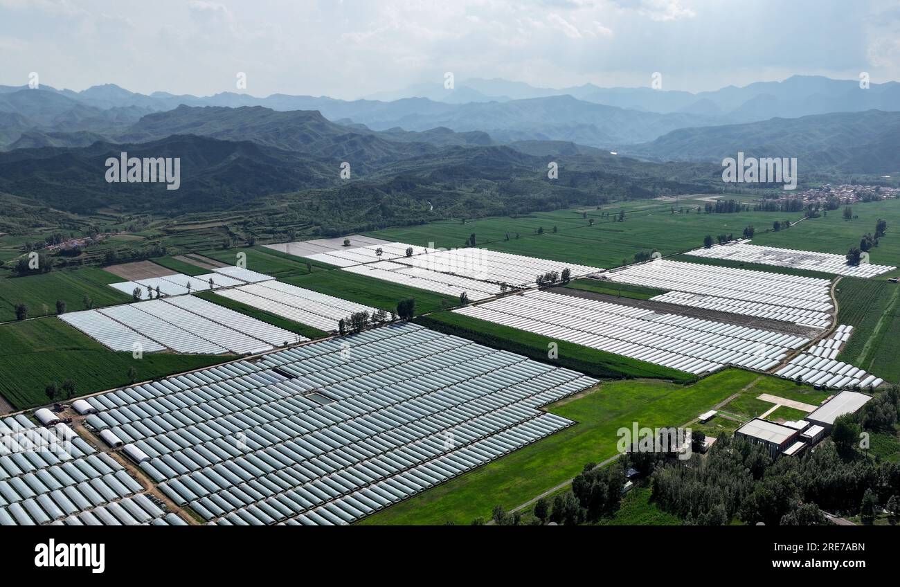 ZHANGJIAKOU, CHINA - JULY 23, 2023 - Photo taken on July 23, 2023 shows ...