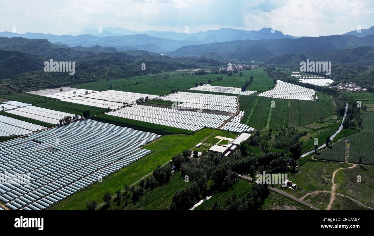 ZHANGJIAKOU, CHINA - JULY 23, 2023 - Photo taken on July 23, 2023 shows ...