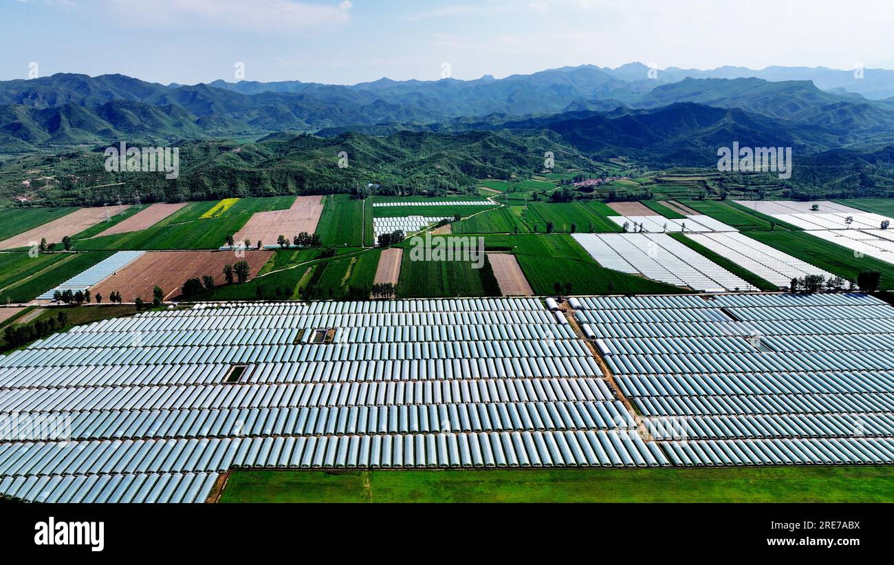 ZHANGJIAKOU, CHINA - JULY 23, 2023 - Photo taken on July 23, 2023 shows ...