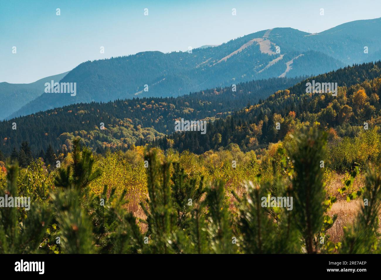lush green forests of Bulgaria's Rila Mountains starting to turn amber ...