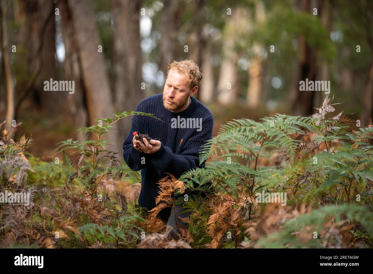 regenerative organic farmer, taking soil samples and looking at plant ...