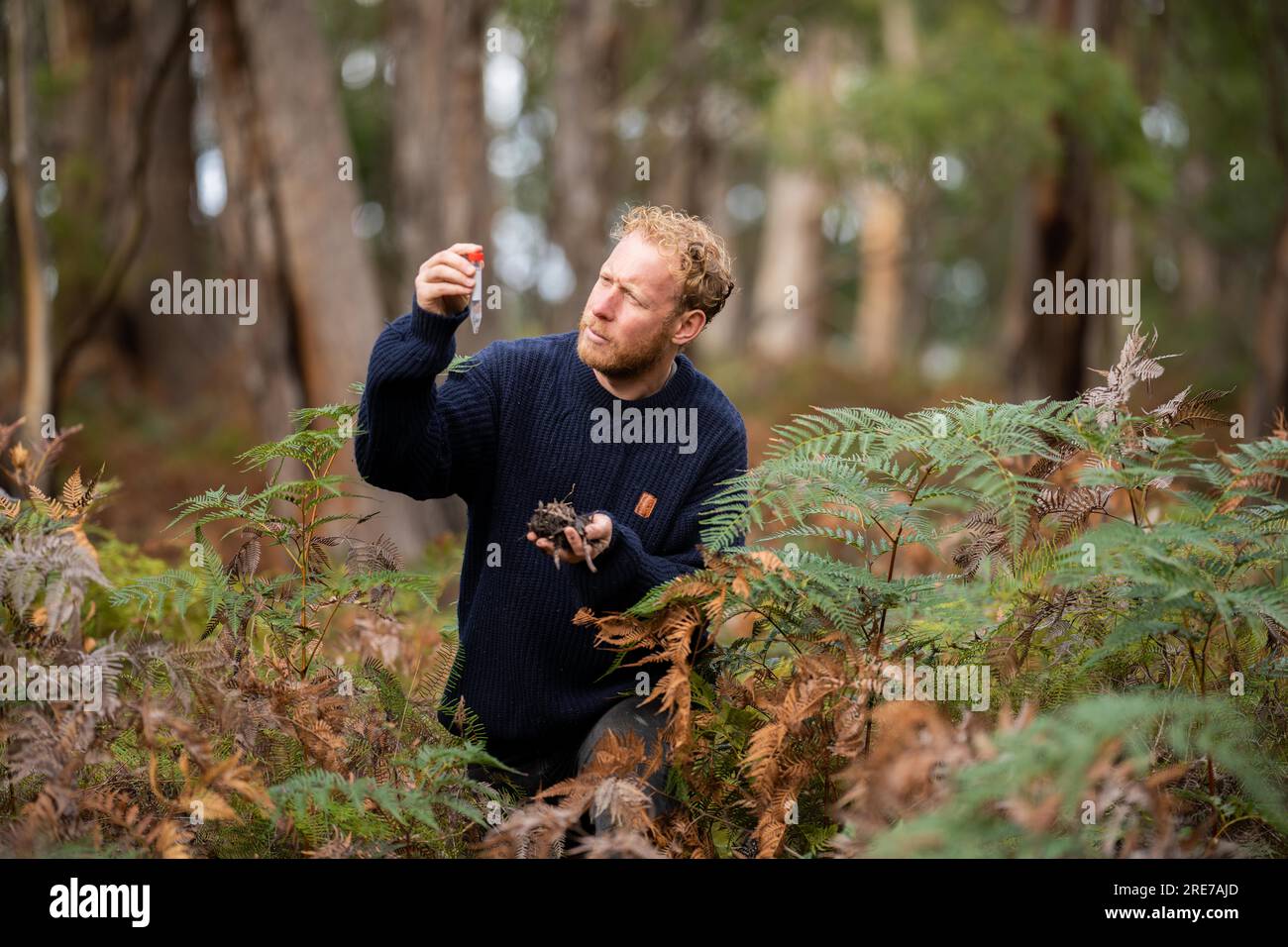 regenerative organic farmer, taking soil samples and looking at plant ...