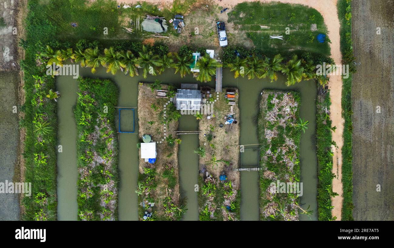 Aerial view of the gardens and river channel in an agricultural field ...