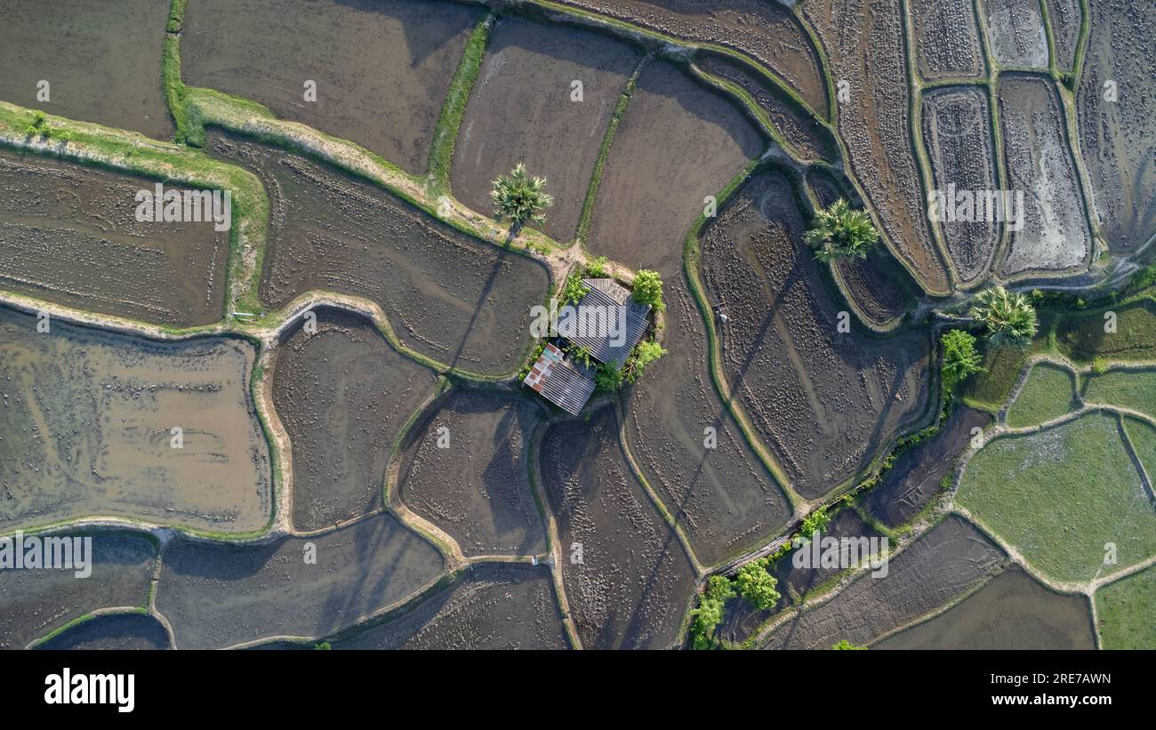 Aerial view of rice terraces in the mountains of northern Thailand ...