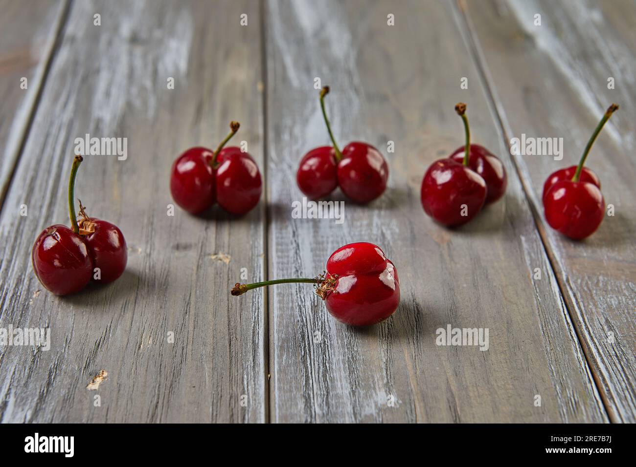 Nature's Oddity: ugly, irregularly shaped cherry stands out against a ...