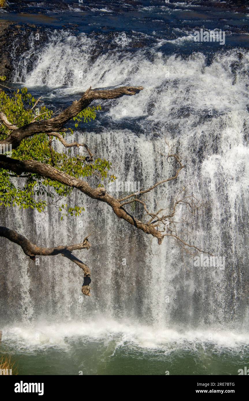 Millstream Falls, Yindinji, Big Millstream Falls, reputedly the widest ...