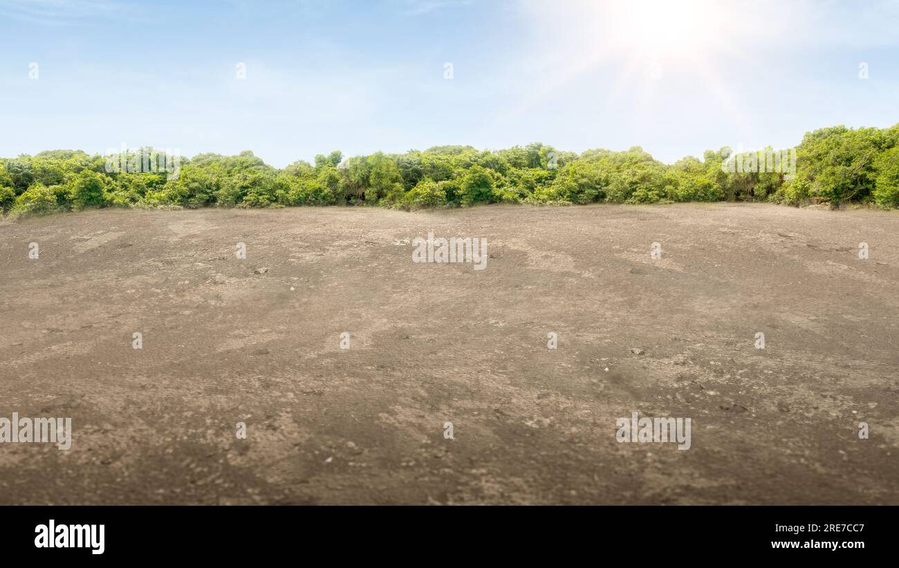 The ground on the field with blue sky background Stock Photo - Alamy