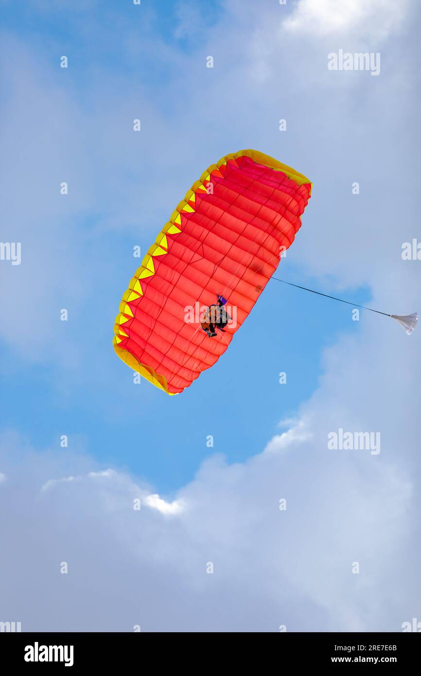 Jump in tandem skydivers-athletes with a parachute. High quality photo ...
