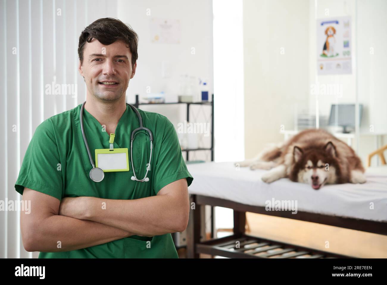 Portrait of smiling veterinarian standing in examination room with arms ...