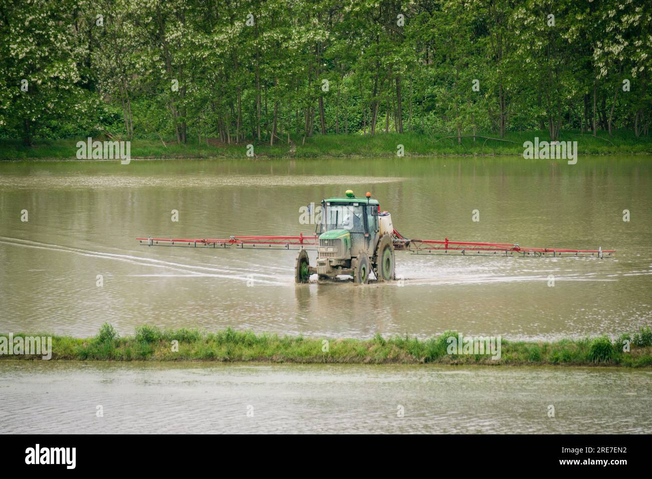 tractor laborando en los campos inundados por arrozales, cerca de ...