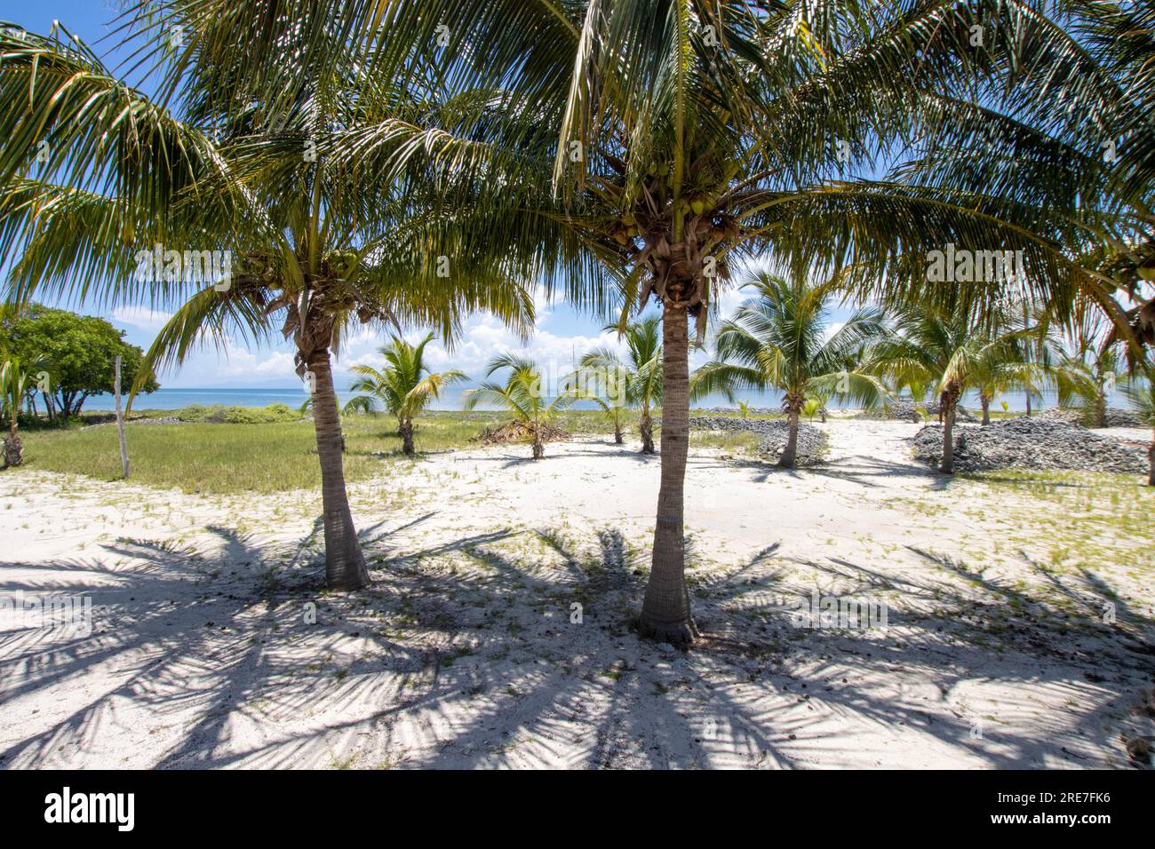 Cuban b hi-res stock photography and images - Alamy