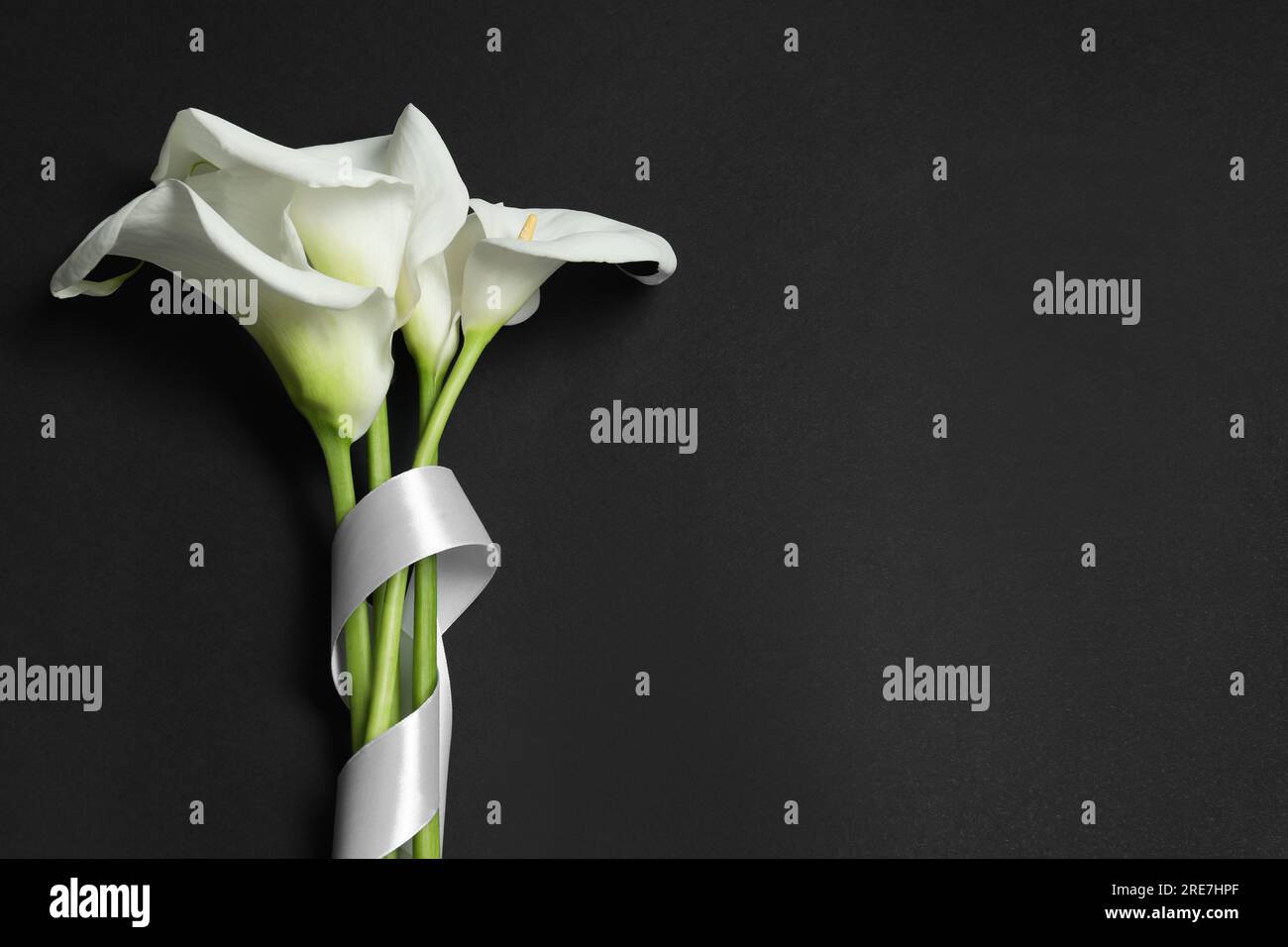 Calla lilies lay flat hi-res stock photography and images - Alamy