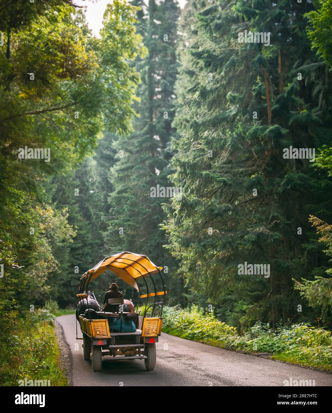 Tatra National Park, Poland. Man In National Traditional Polish Folk ...