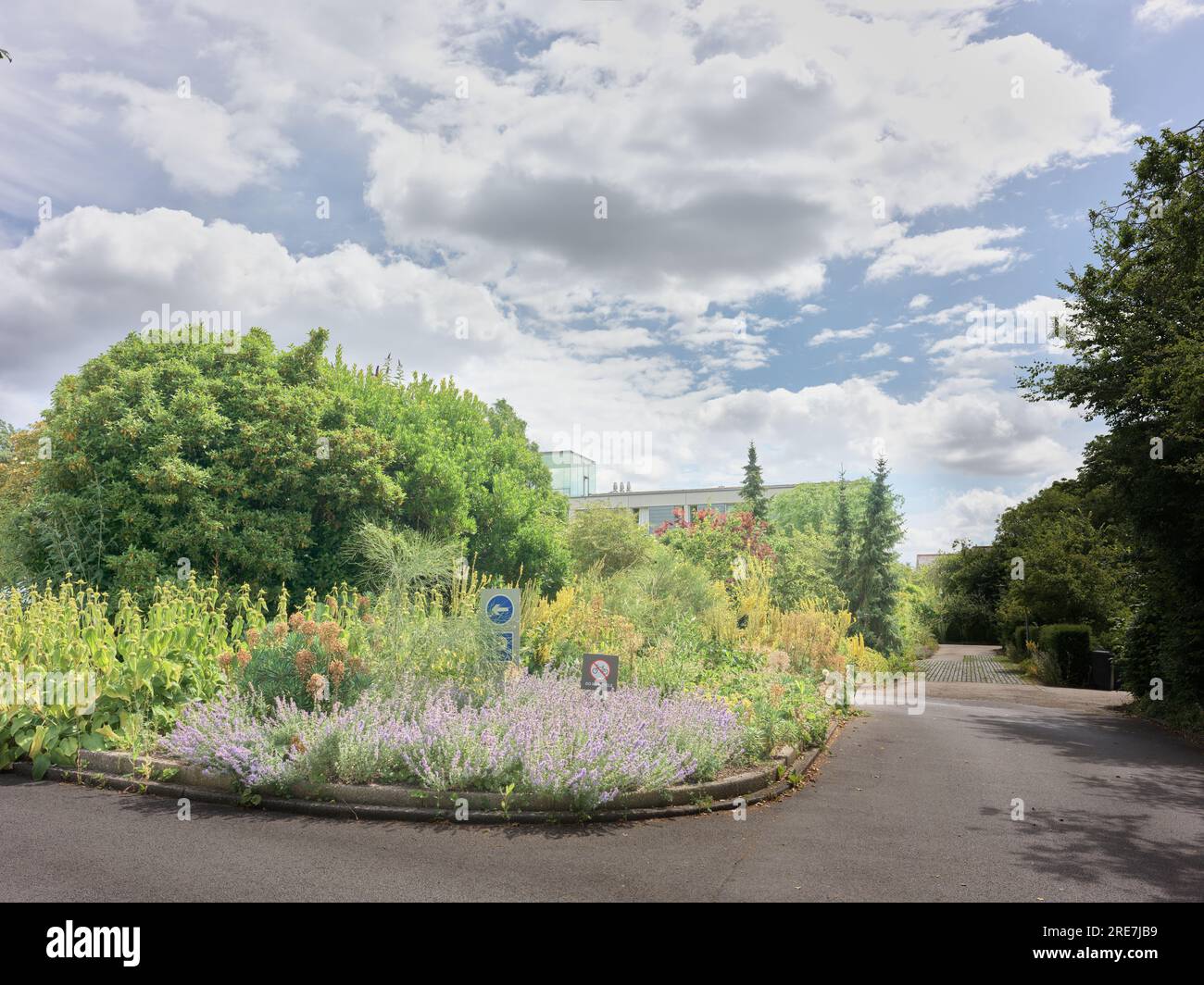 Garden at Murray Edwards (formerly New hall), women only, College ...