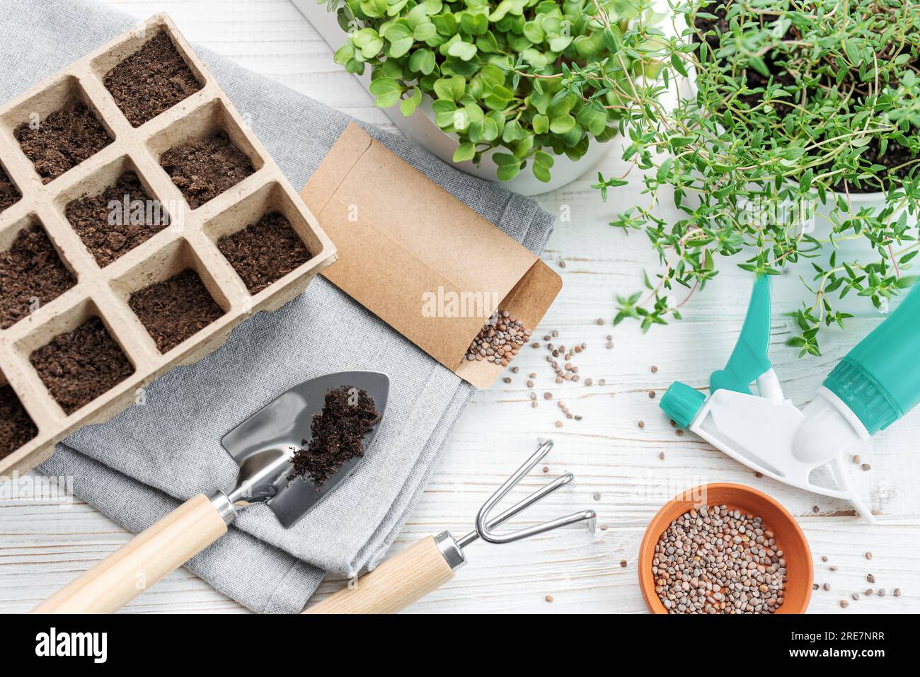 Gardening concept, planting at home. Set of gardening tools and ...