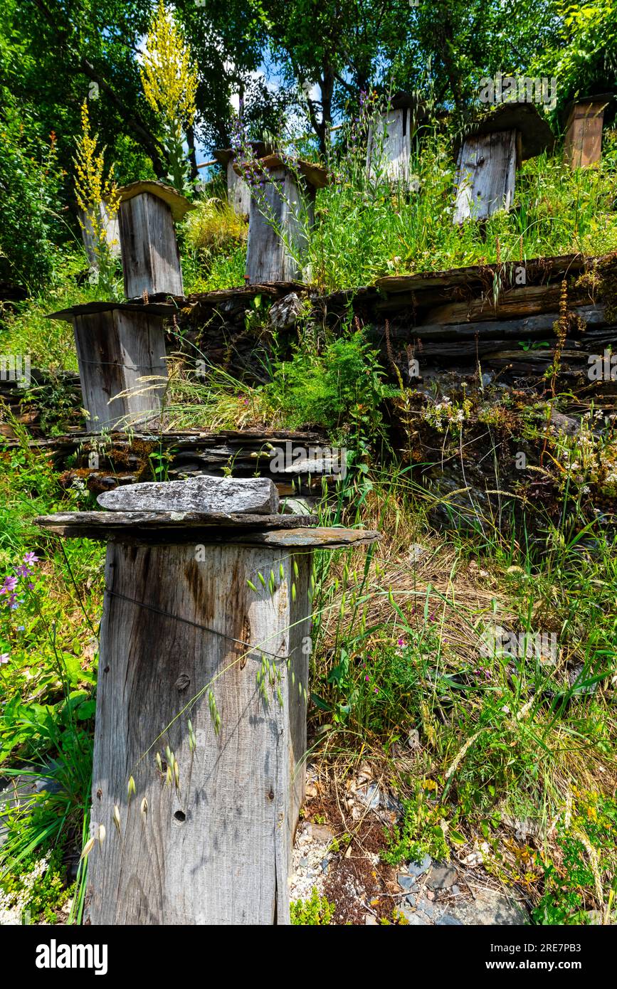 Traditional hives. Remote and perfectly preserved village of Peñalba de ...