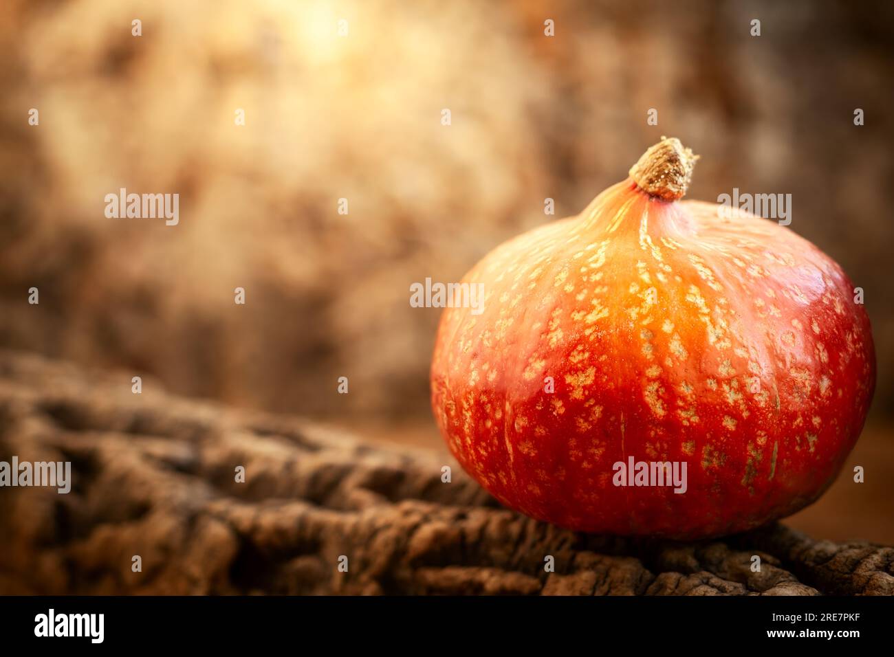 Orange pumpkin over wooden nature background Stock Photo - Alamy