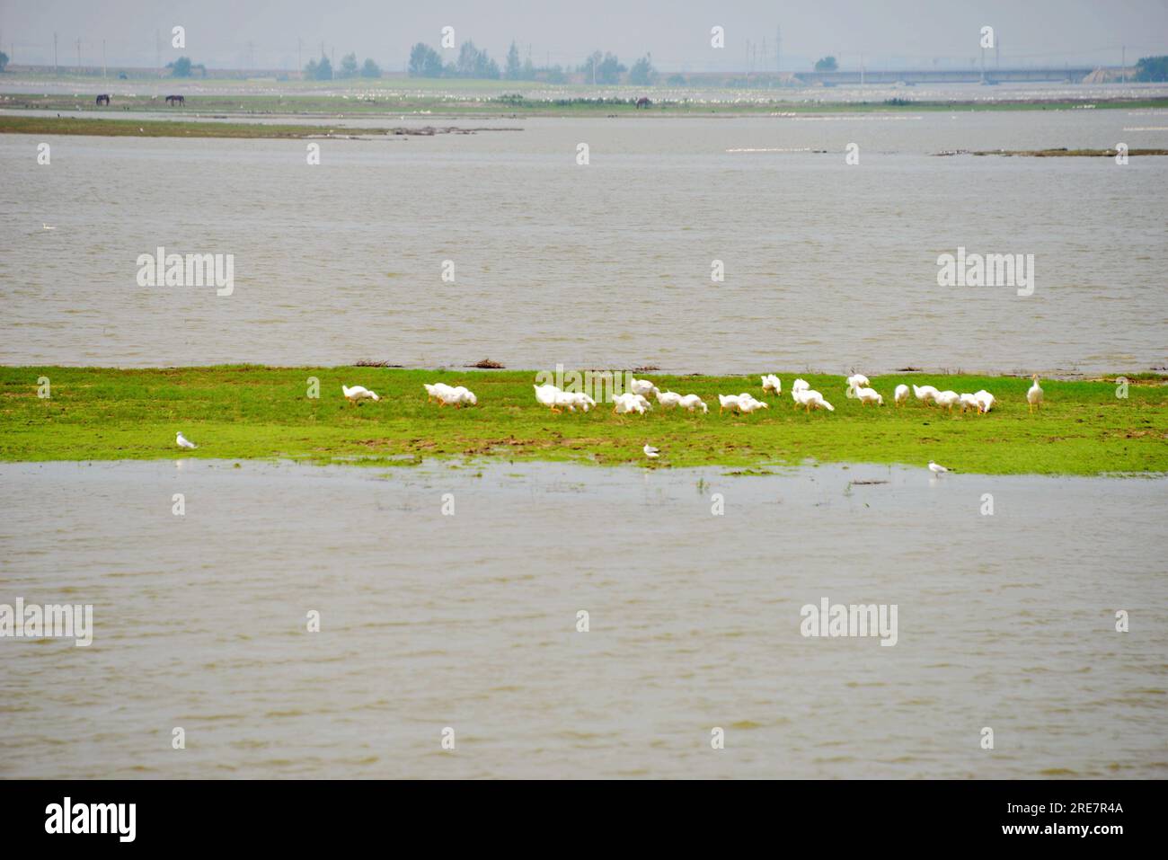 BAICHENG, CHINA - JULY 26, 2023 - A drone aerial photo shows a flooded ...