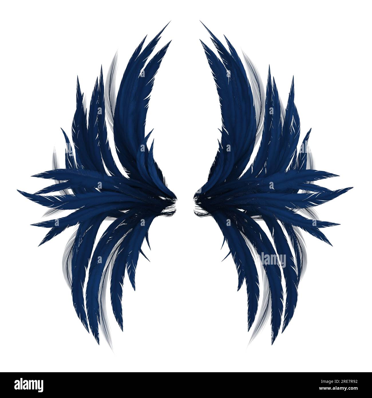 Feathered small Cut Out Stock Images & Pictures - Alamy