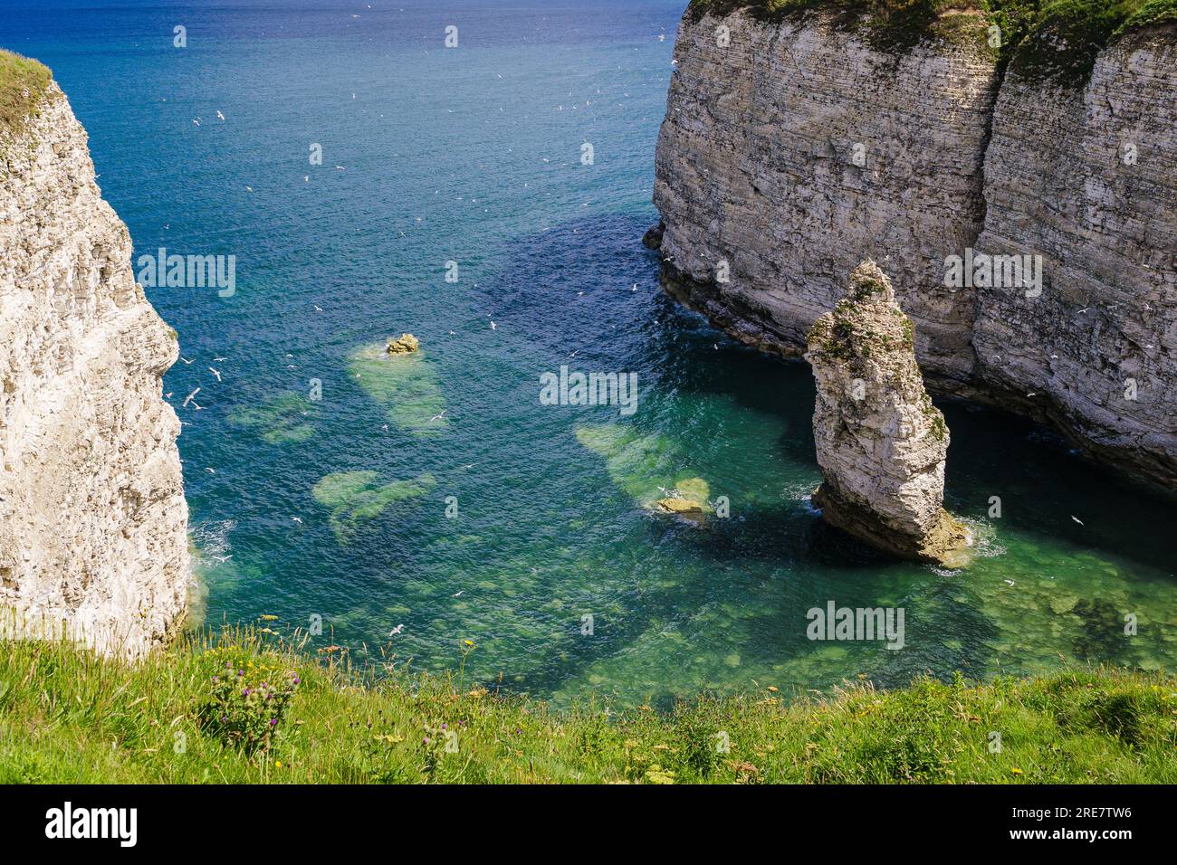 View from the clifftop - a bay and seastack close to Flamborough Head ...