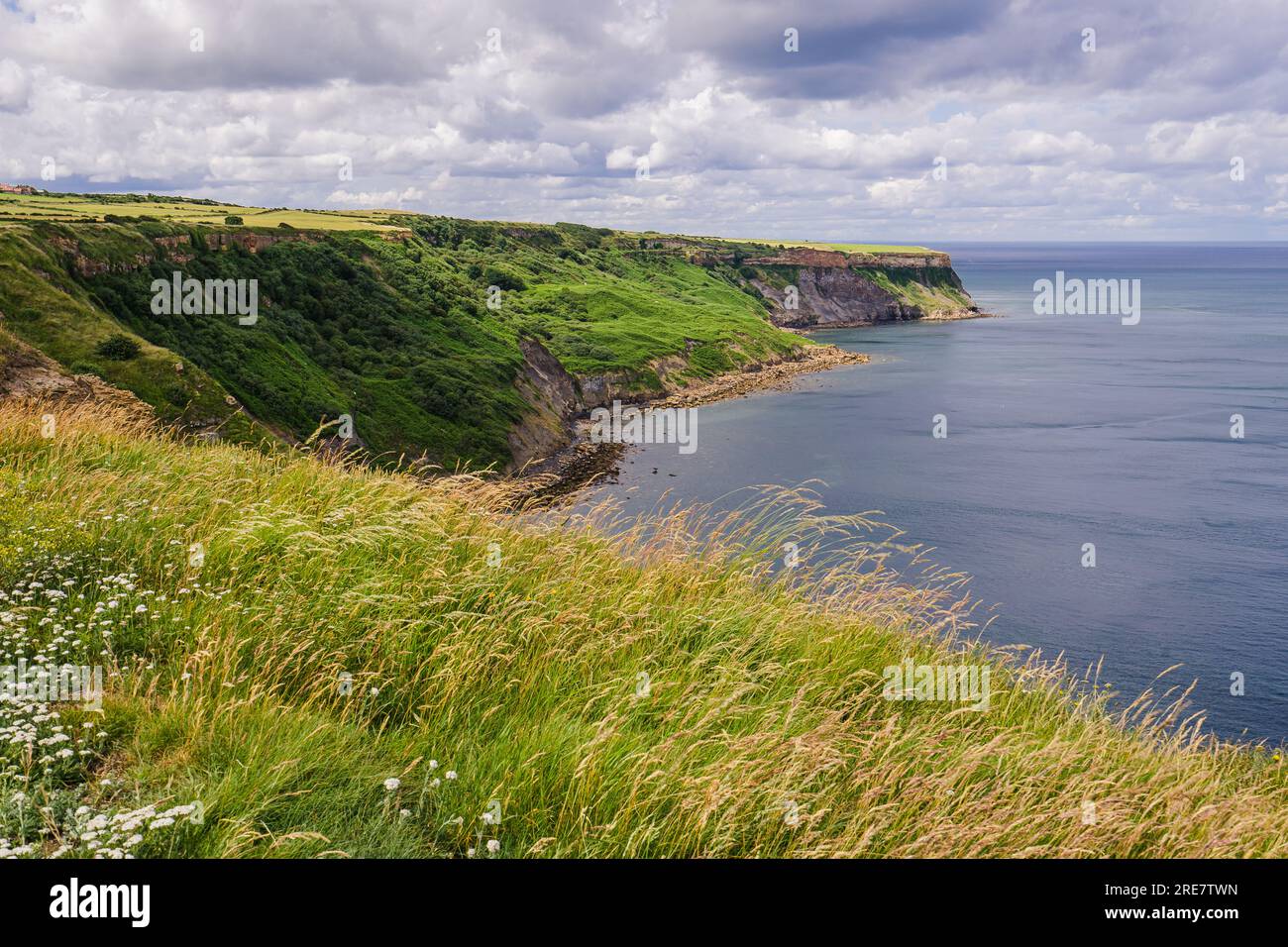 Clifftop view of Kettleness headland from the Cleveland Way long ...