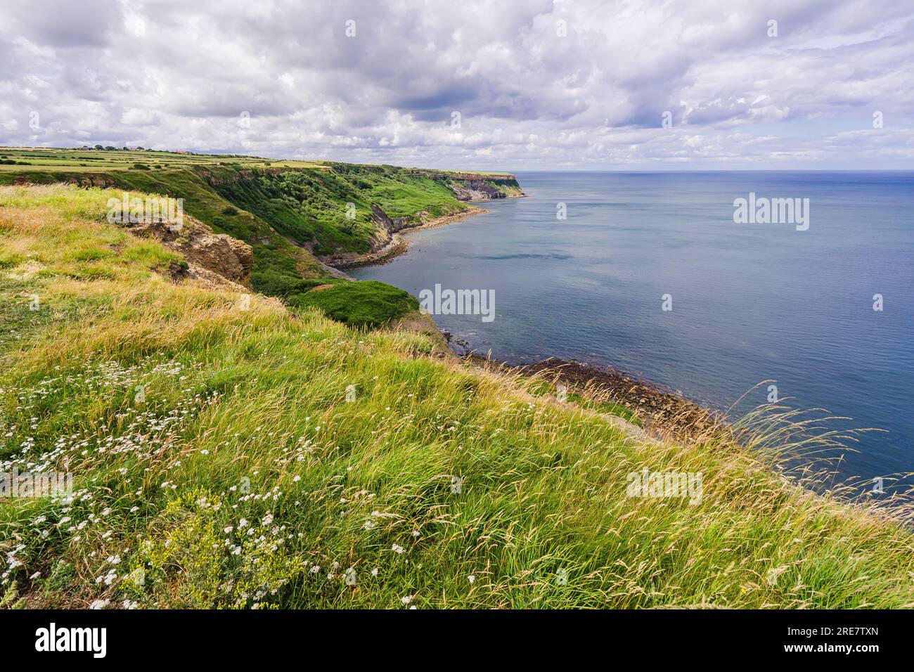 Clifftop view of Kettleness headland from the Cleveland Way long ...