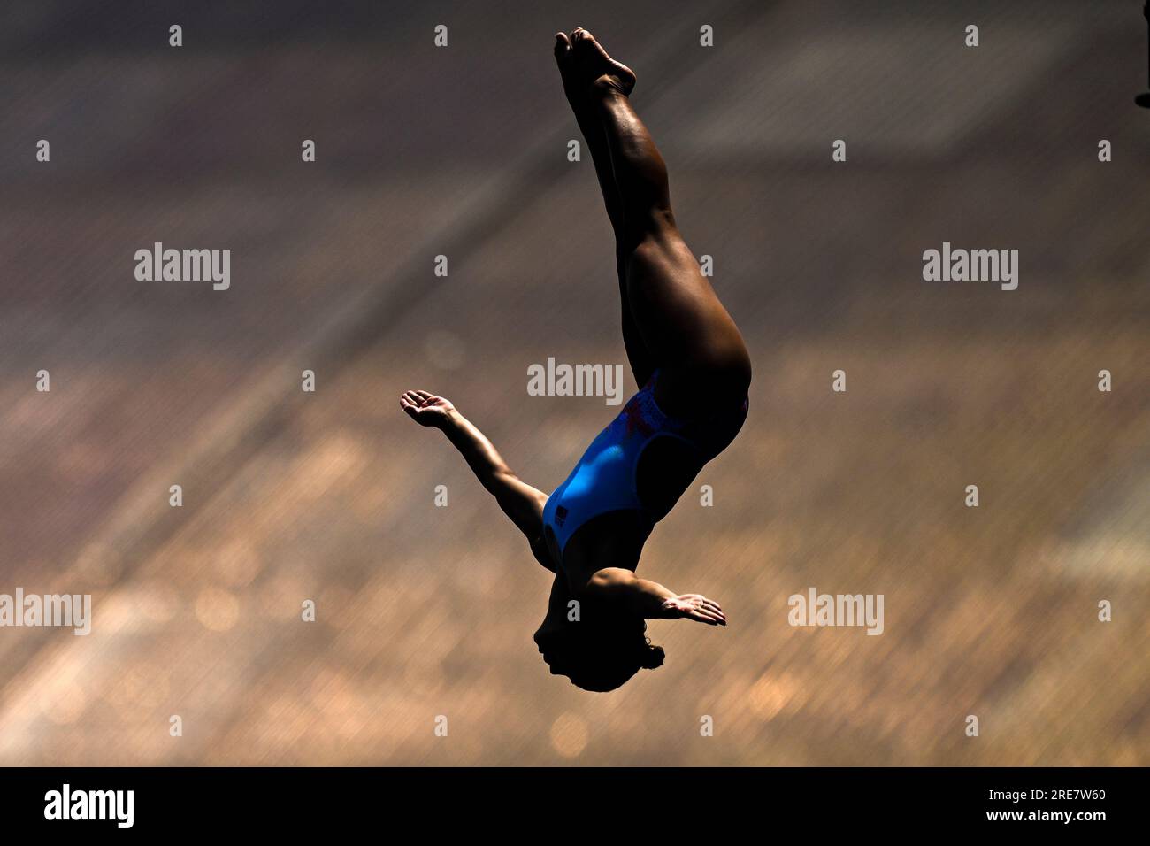 Xantheia pennisi of australia hi-res stock photography and images - Alamy