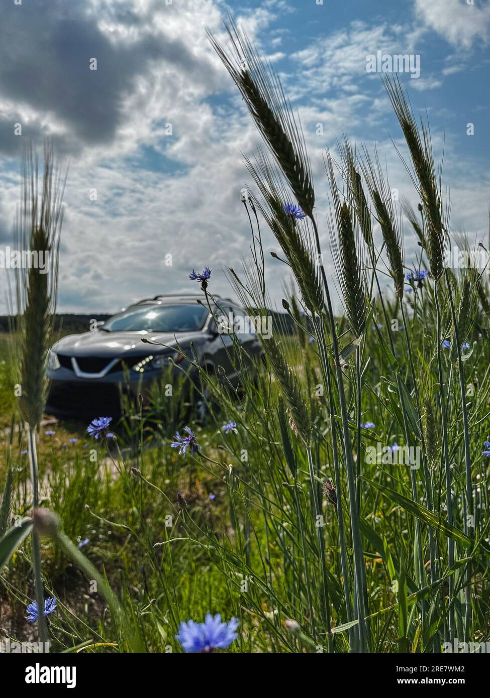 suv car on trail road in field Stock Photo - Alamy