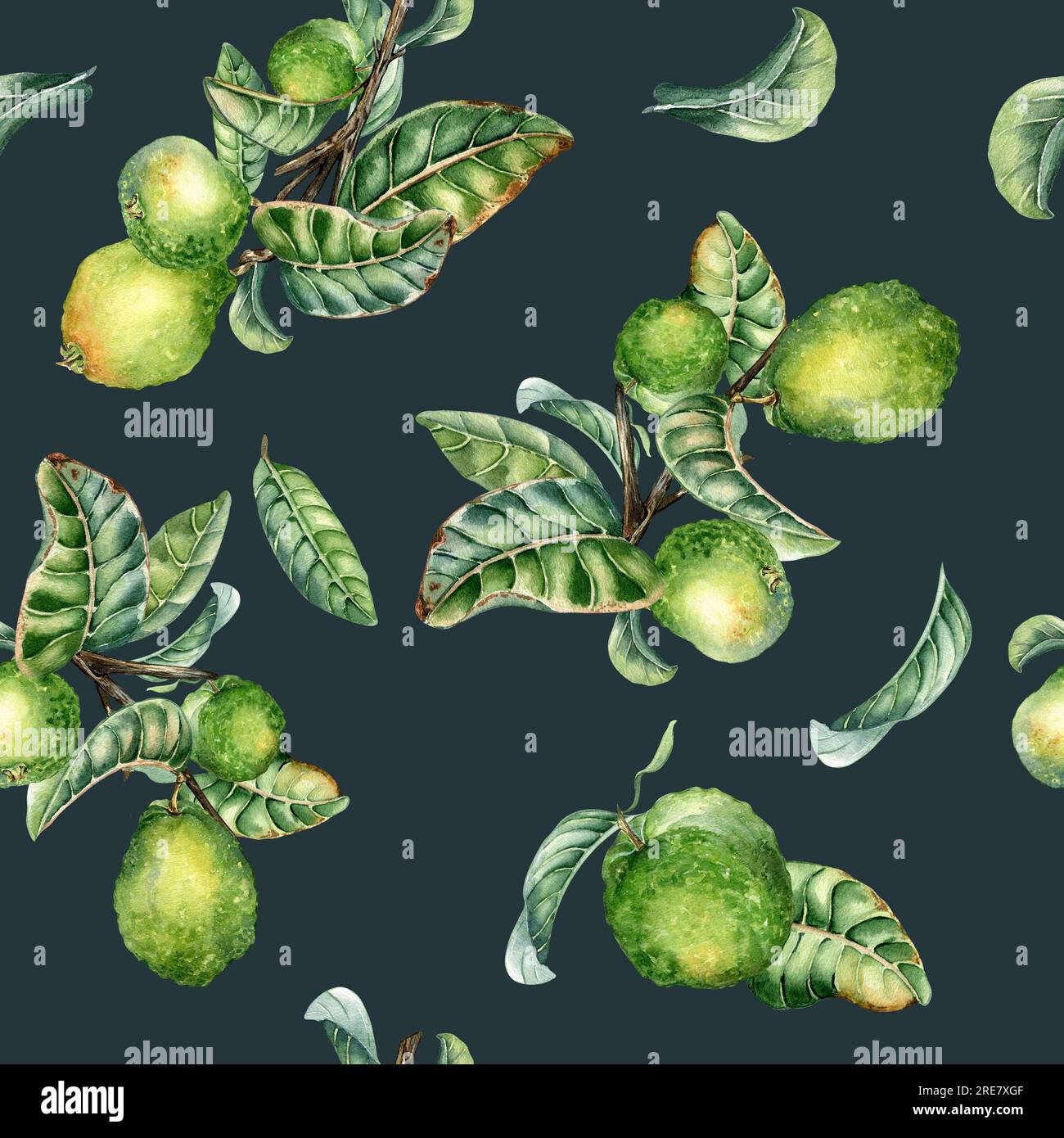 Branch of tree and single guava fruit watercolor seamless pattern ...