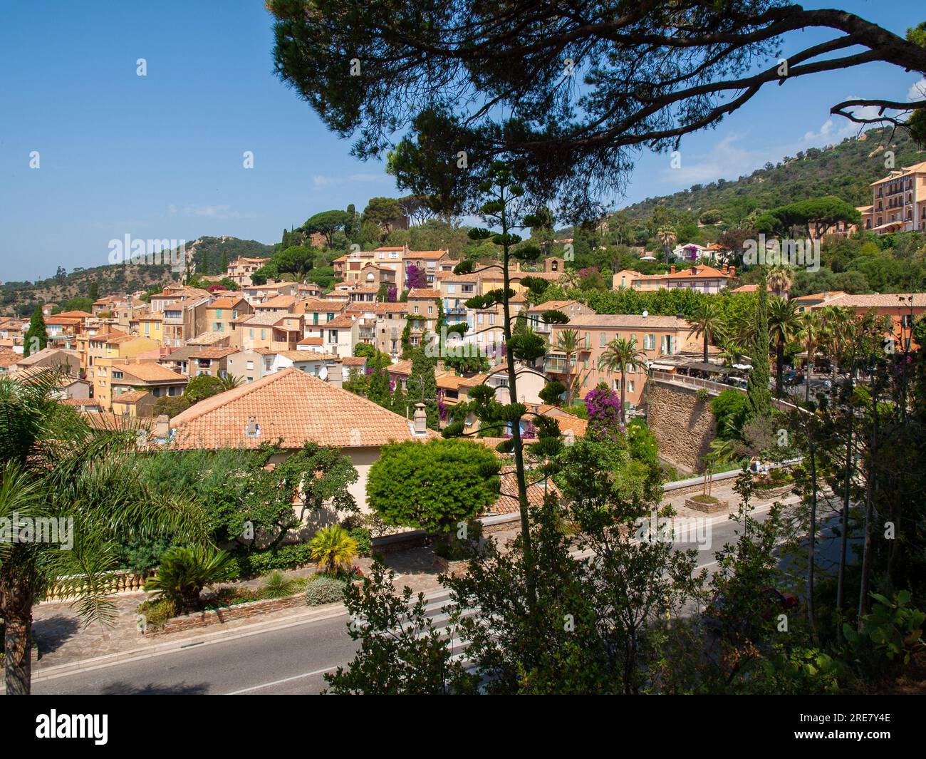 bormes les mimosas, landscape, france, provence Stock Photo - Alamy