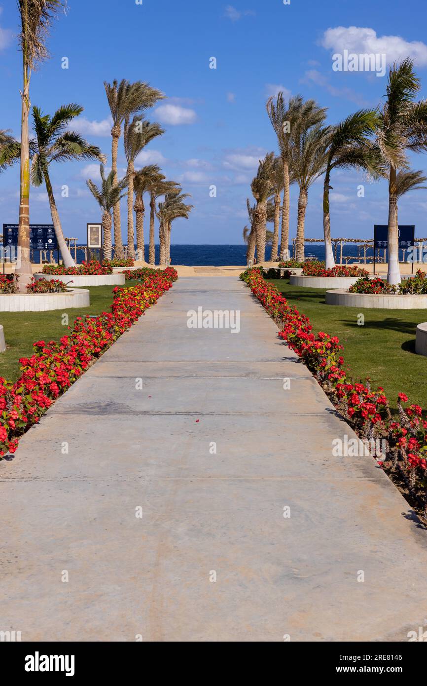 Tropical beach path palm trees hi-res stock photography and images - Alamy