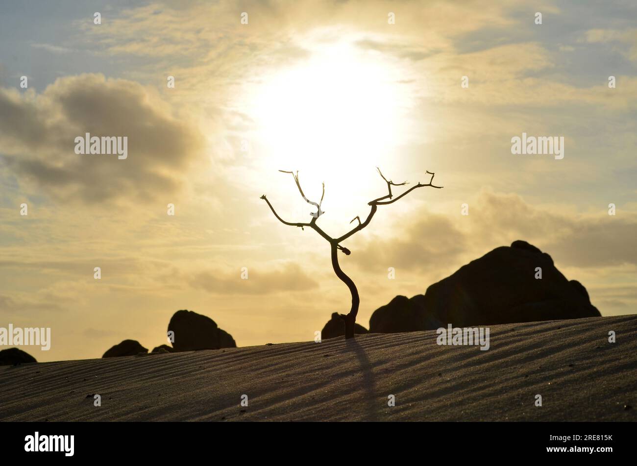 Aruba dunes hi-res stock photography and images - Alamy