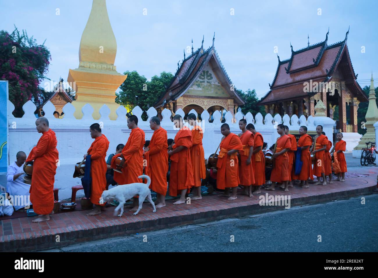 luang prabang laos - july22,2023 : villager and tourist offering sticky ...