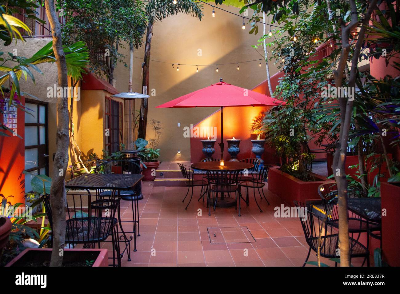 Red Tree House Accomodation in Mexico City, Mexico Stock Photo - Alamy