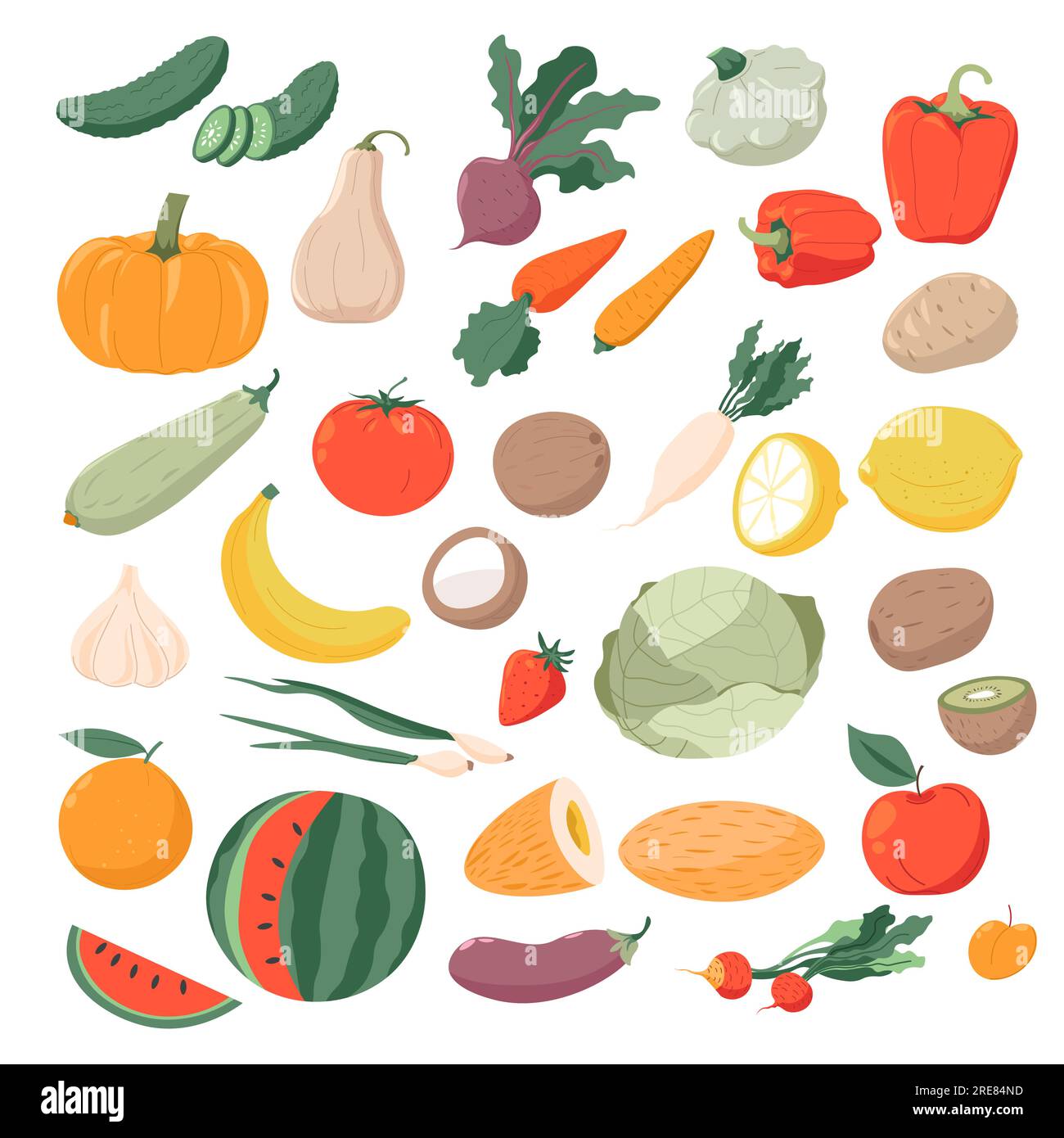 Watermelon raddish Stock Vector Images - Alamy