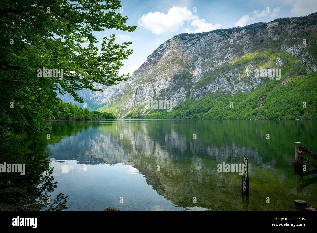 slovenia nature and water at bohinj Stock Photo - Alamy