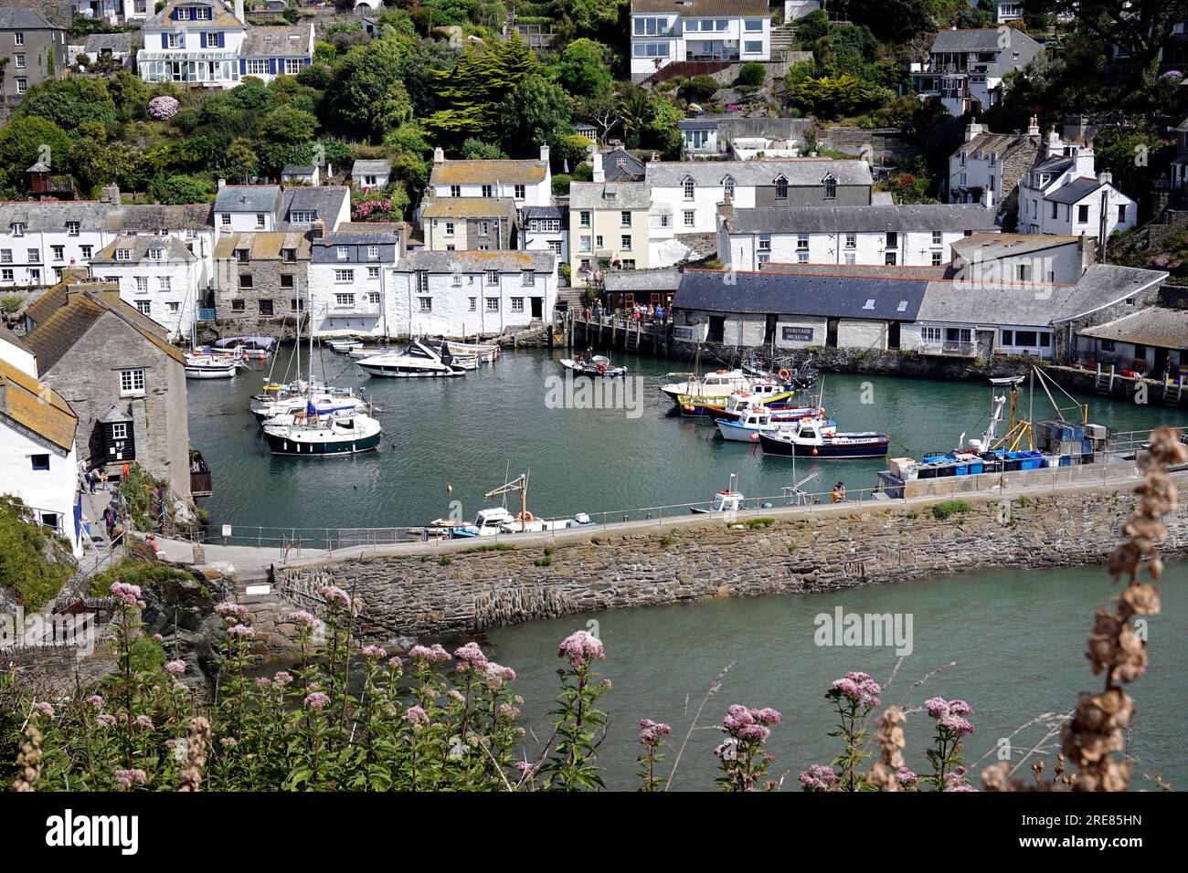Polperro cornwall fish hi-res stock photography and images - Alamy